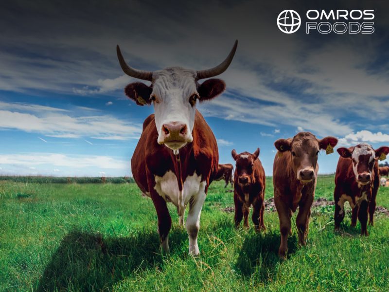 Omros Foods