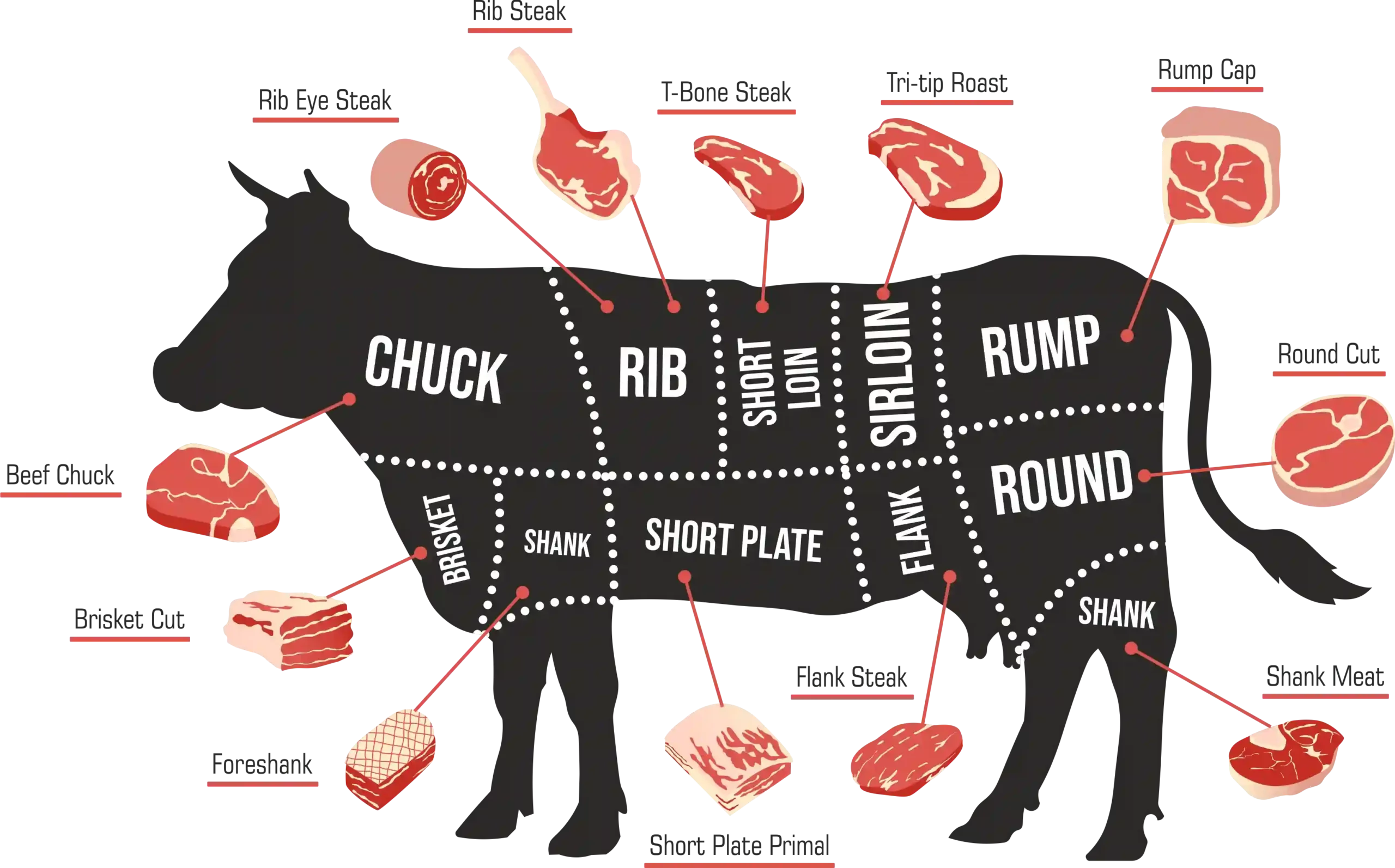 Here is a list of common beef cuts by OMROS FOODS - 2023 - Omros Foods